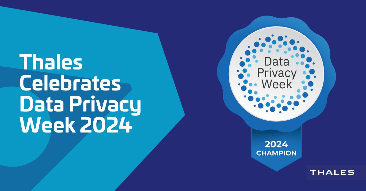 Decoding Data Privacy: Trust, Choices, and Your Digital World