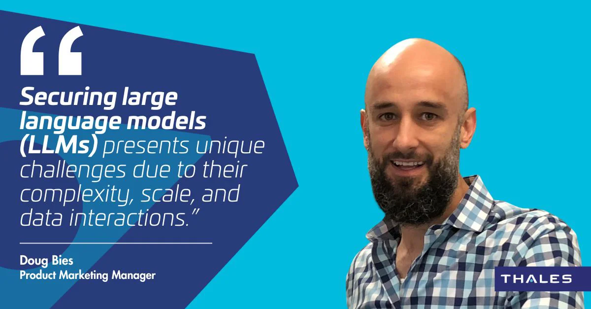 A Critical Guide to Securing Large Language Models