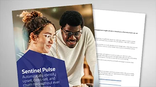 Sentinel Pulse - Product Brief